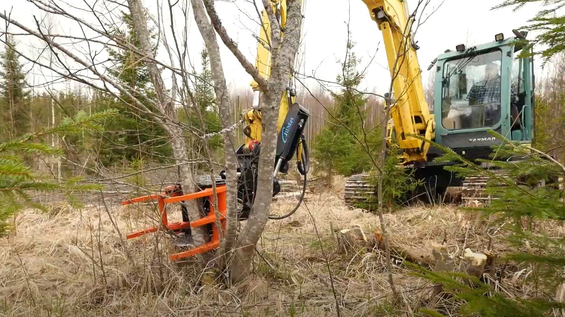 Domestic forest energy demand at record highs | KX-Treeshears